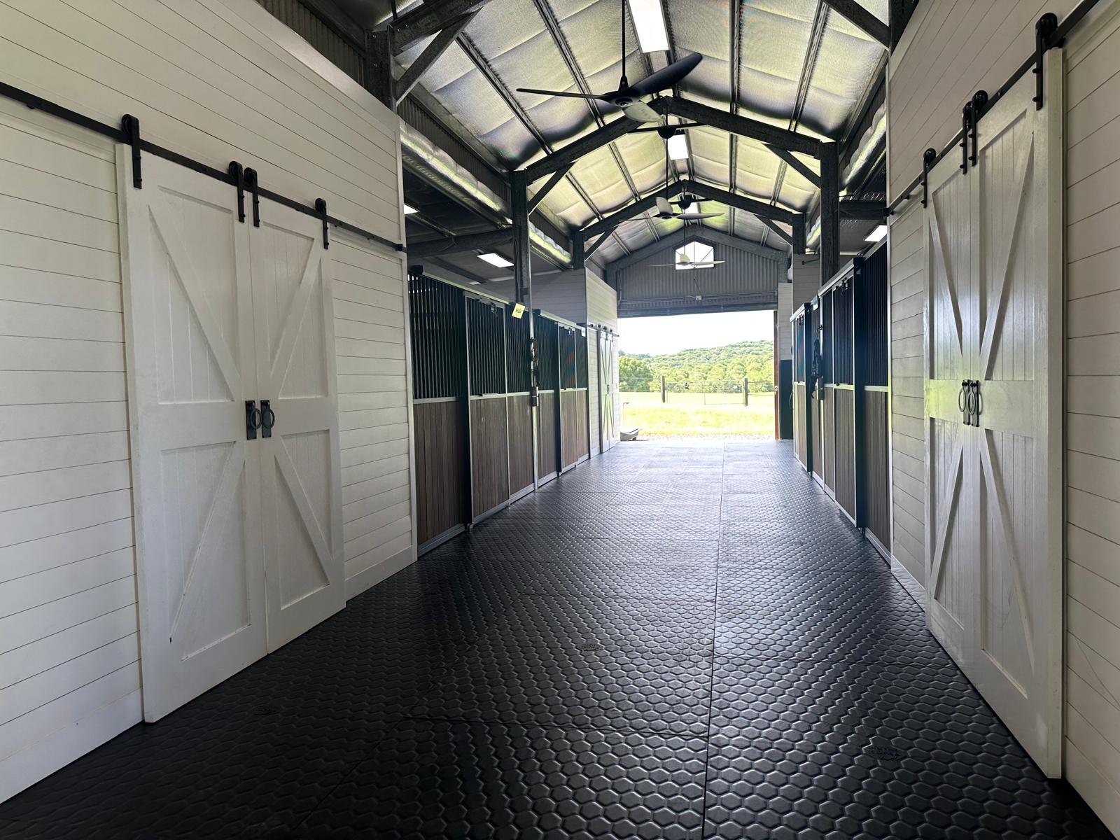 Eureka - Elite Equine Group